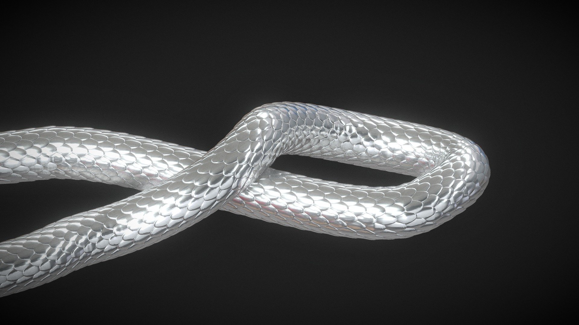 Snake skin - Download Free 3D model by sergey200075 (@hesher) [805e62f ...
