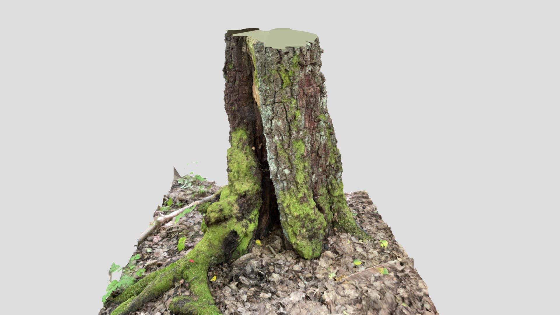 Mossy Stump - Forest - Download Free 3D model by Majzim [805ec4d ...