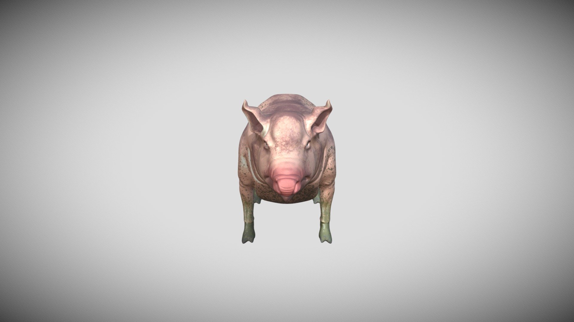 Pig - 3D model by NDArt (@ldanzera) [8062ee6] - Sketchfab