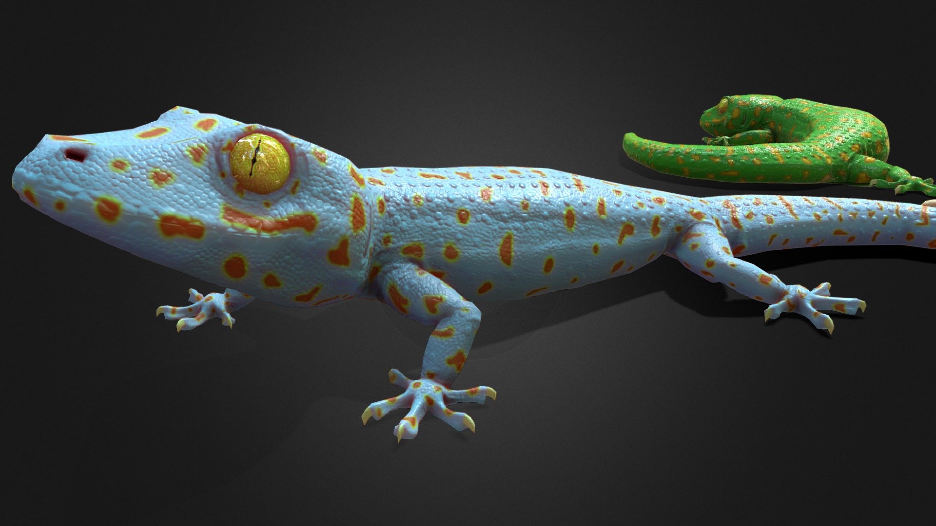 Geckos - 3D model by Alan Hernandez-Morales (@alanhern) [80666c6 ...
