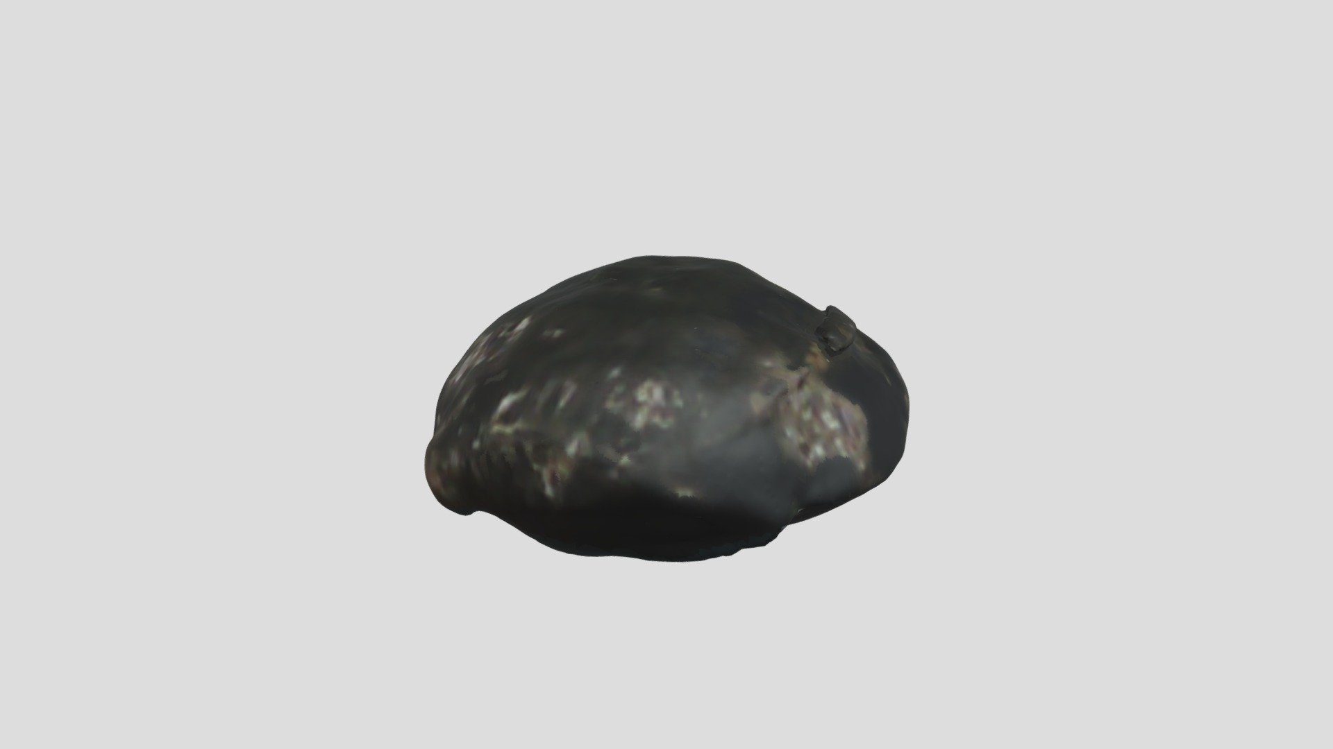 Athyris Concentrica - 3D model by rin209 [806a298] - Sketchfab