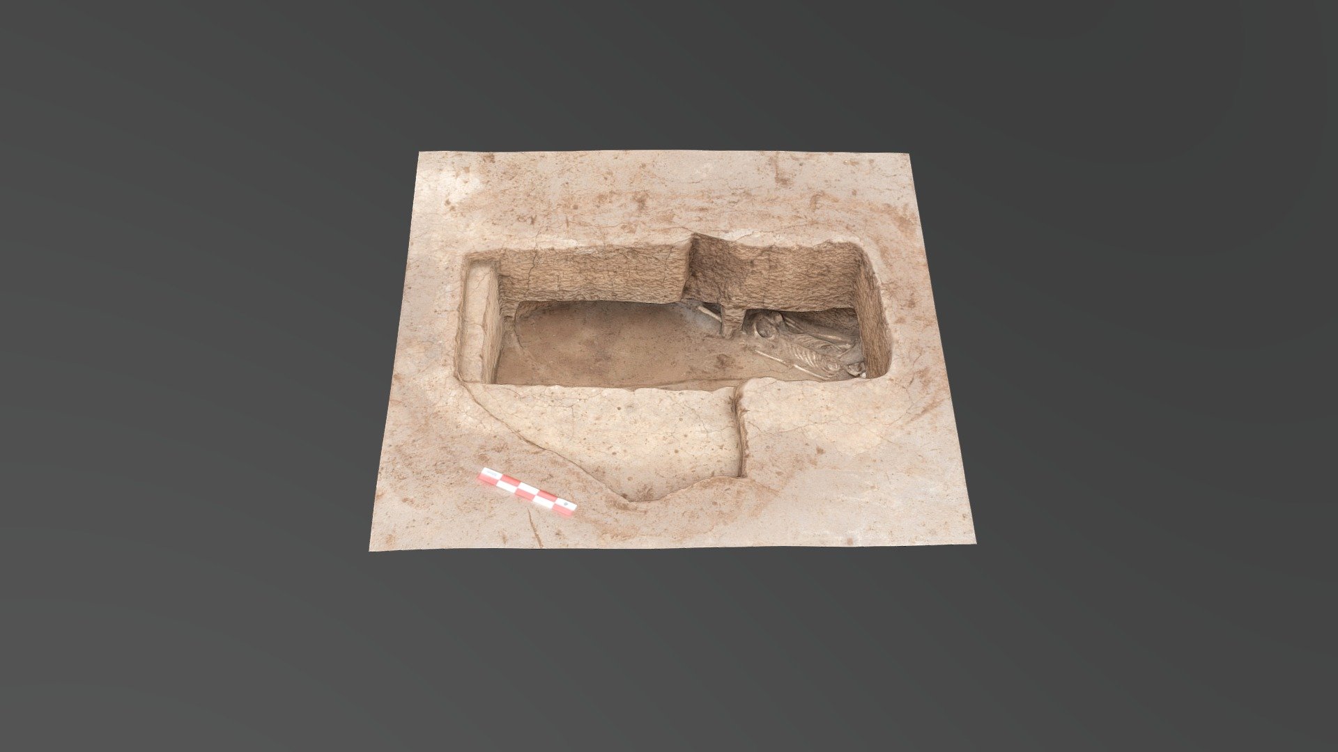 M431 - 3D model by hano [8073062] - Sketchfab