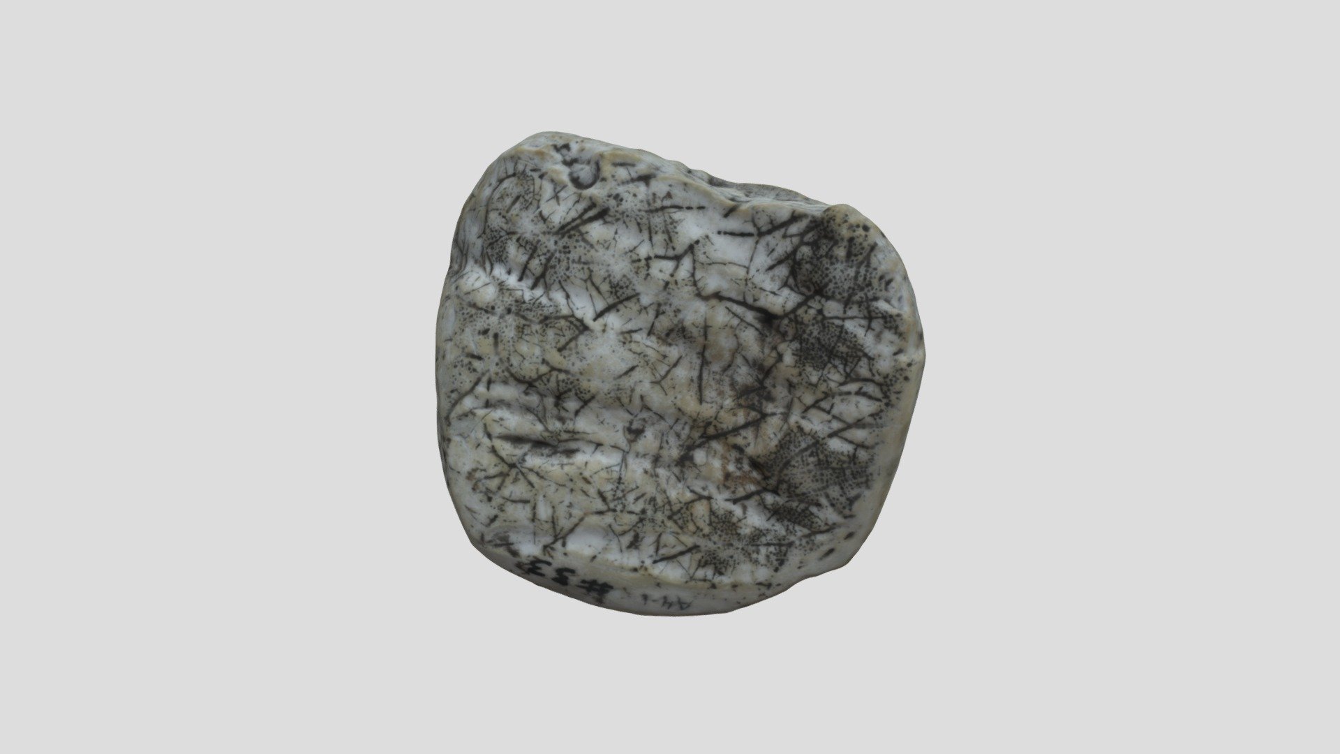 Shell Adze Sketchfab - Download Free 3D model by E Minette (@eminette ...