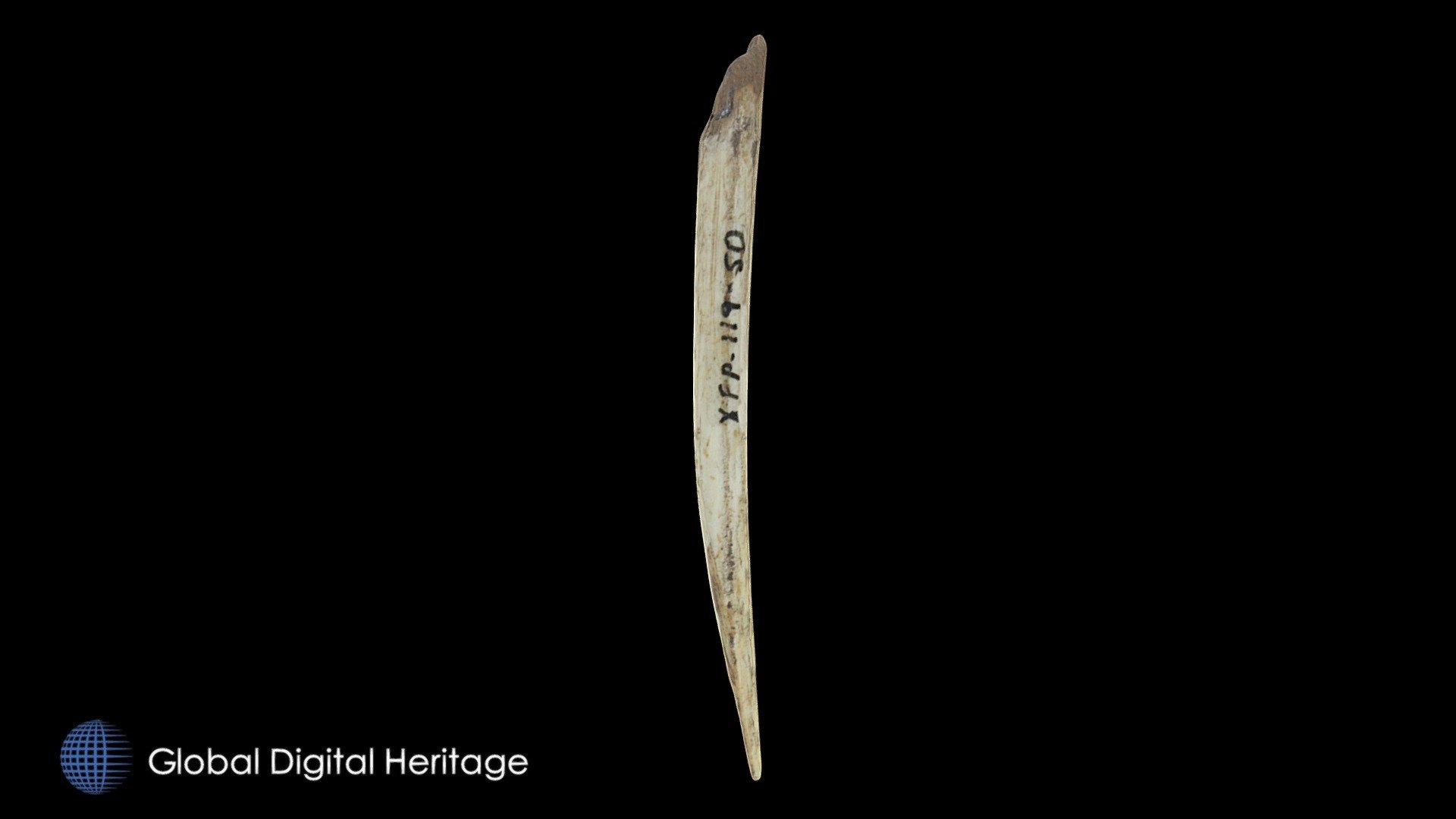 Bone Awl, XFP-119, Sanak Island, Alaska. - Download Free 3D model by ...