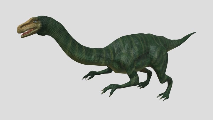 Plateosaurus 3D models - Sketchfab