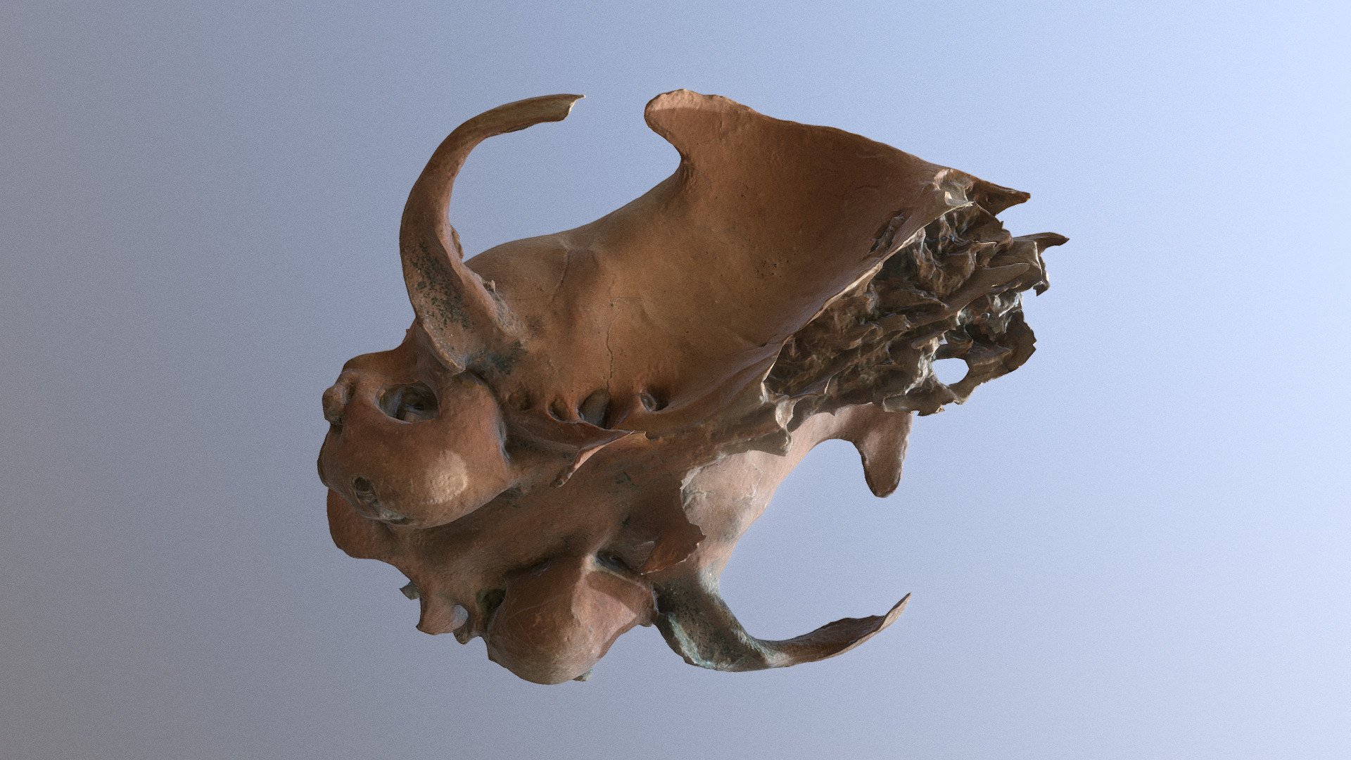 Small Skull nr 2 (high poly) - Buy Royalty Free 3D model by Mantas ...