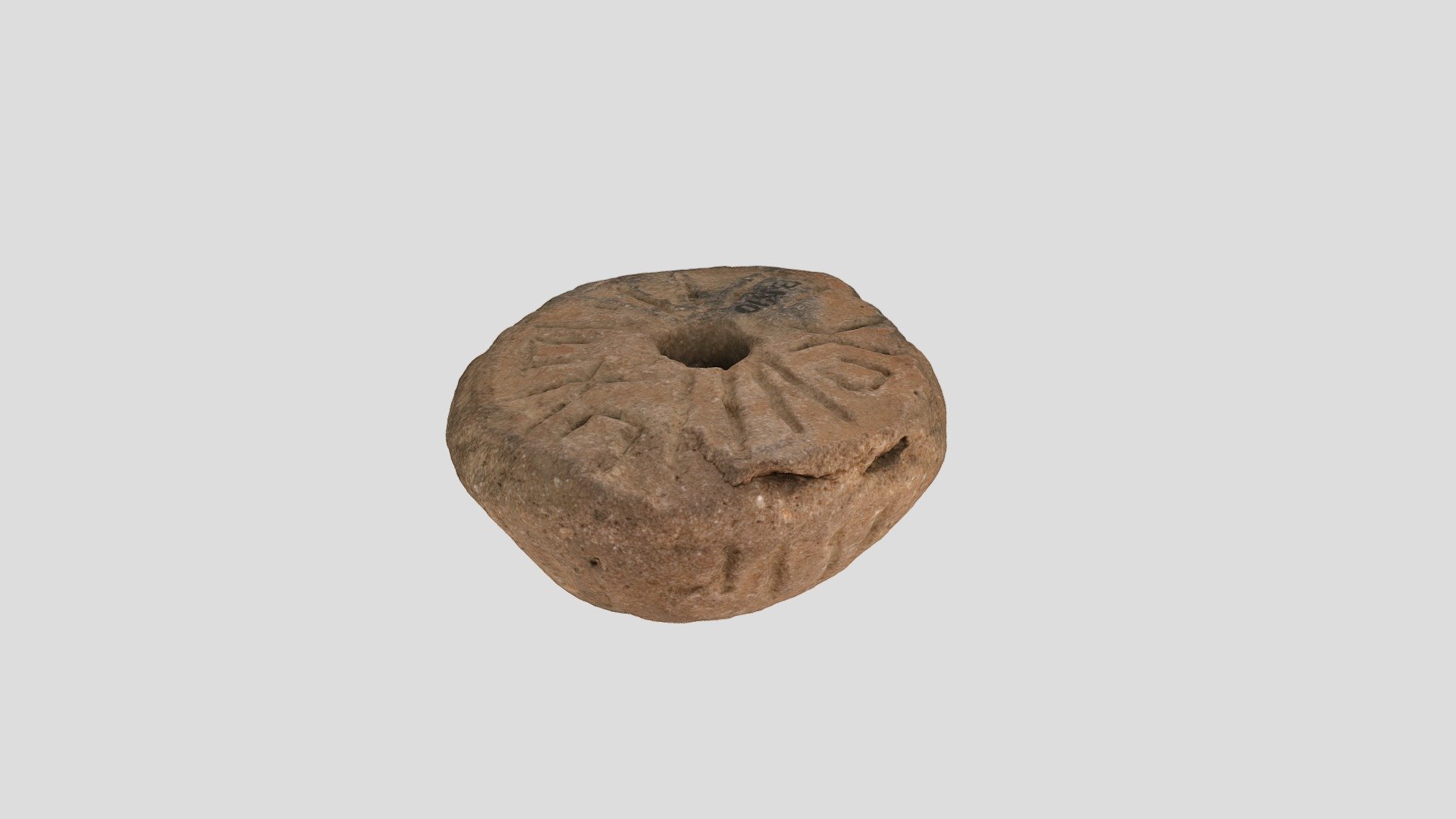 YPM ANT.131810 - Download Free 3D model by Yale Peabody Museum ...