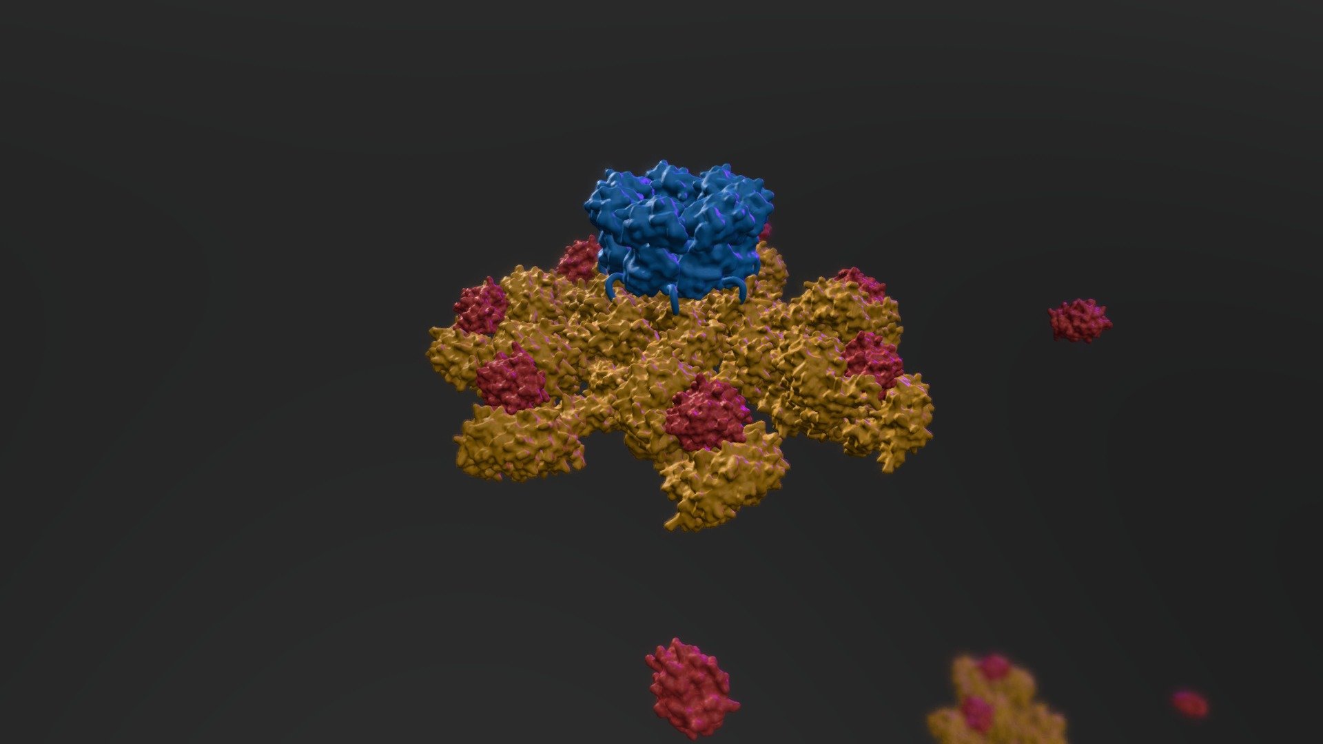 Apoptosoma 3D Web - Download Free 3D model by 3D Models for test ...