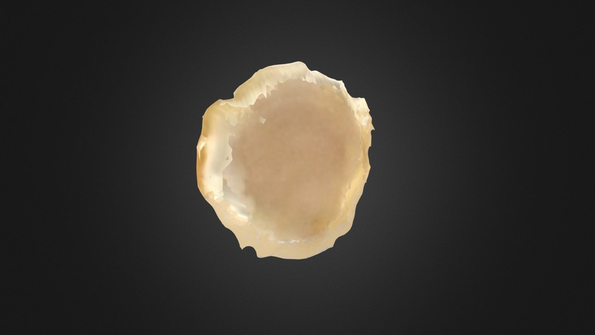 Bassina calophylla Philippi, 1836 - 3D model by 3D collection ...