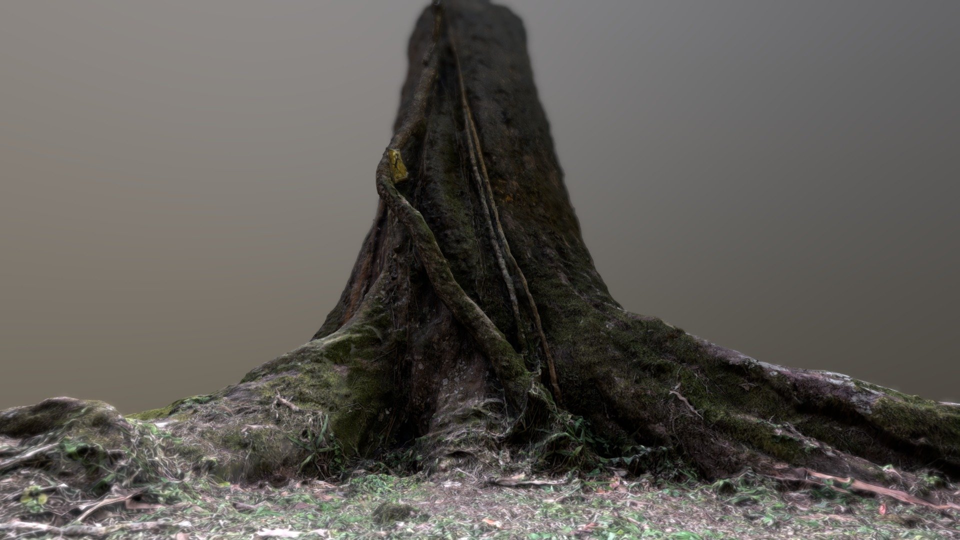 Large tree trunk - Download Free 3D model by VERGULT XYZ (@kamixyz ...