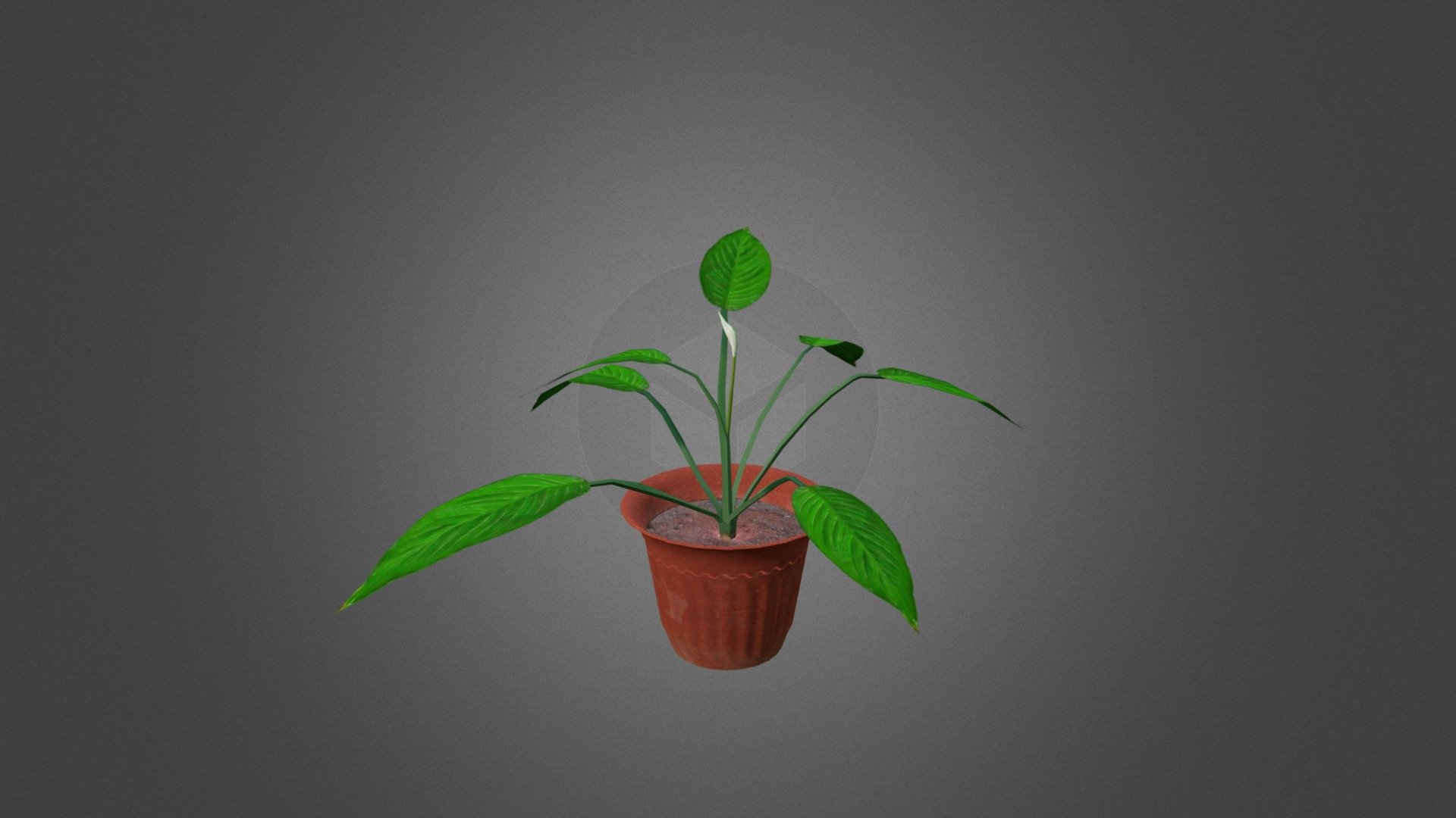 Foliage - 3D model by akashdambal [80a2ac7] - Sketchfab