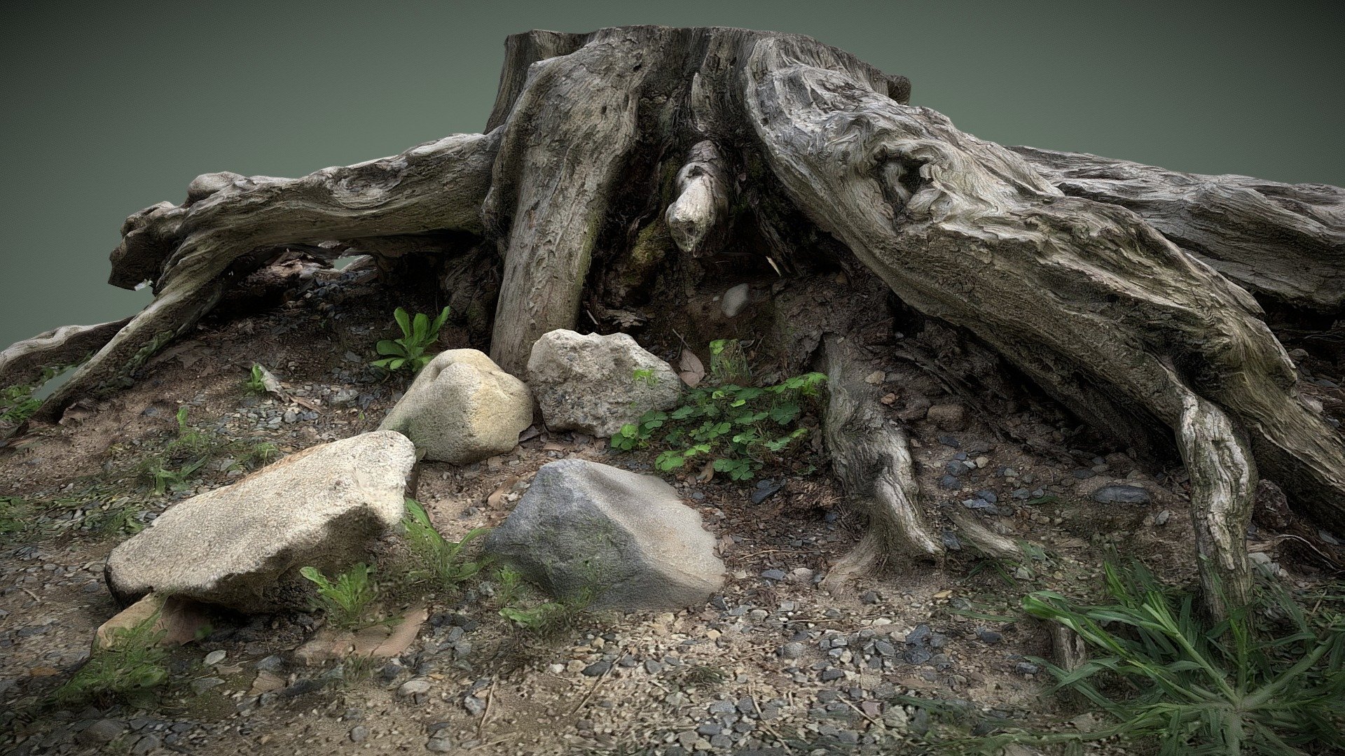 Tree trunk and more... - 3D model by Koto3D Stephane Vogley (@sayavog ...
