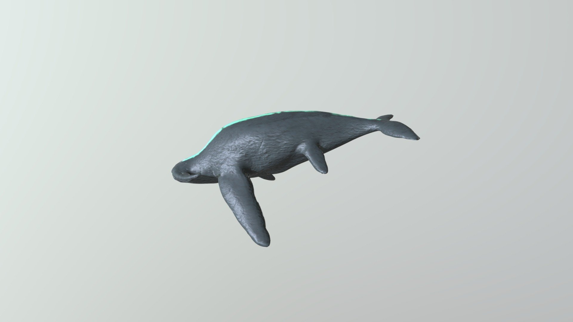Sea creature - 3D model by rottan [80a93ca] - Sketchfab