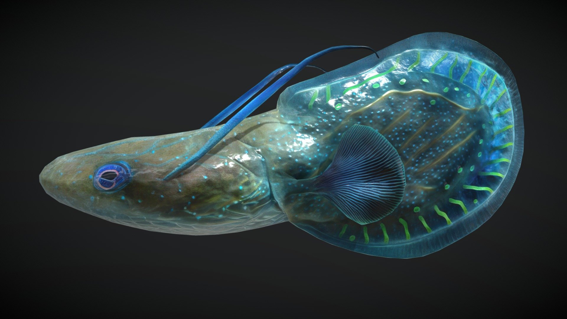 Alien Fantasy Fish - HydroSpark Tadpole - Buy Royalty Free 3D model by ...