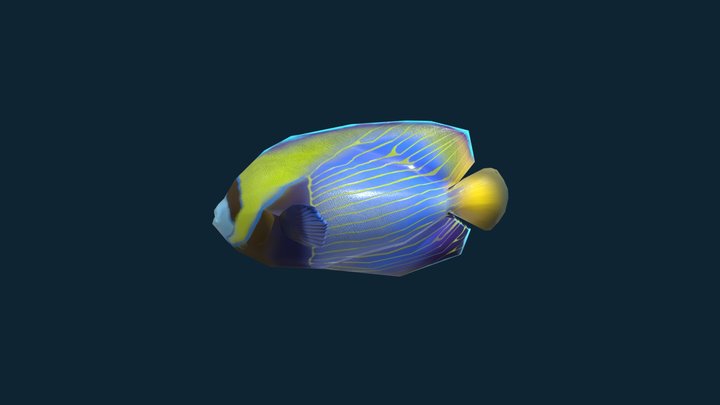 Marine-life 3D models - Sketchfab