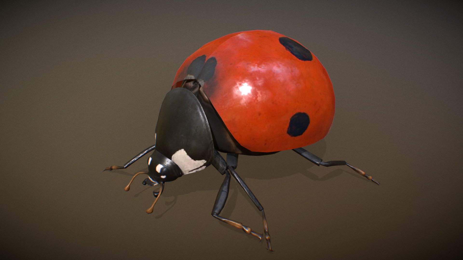 Animalia - Ladybug - 3D model by GiM (@GamesInMotion) [80ac242] - Sketchfab