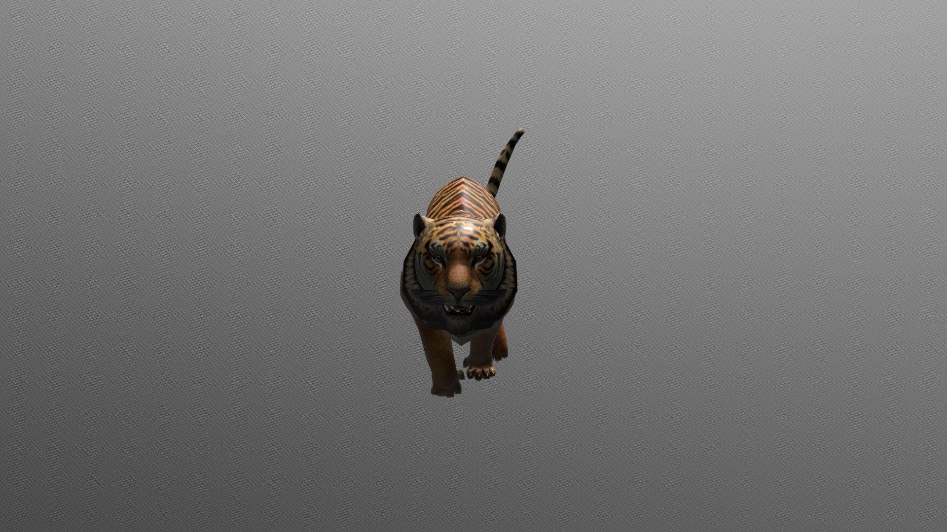 Tiger - 3D model by Chen (@chenjin3d) [80acf1e] - Sketchfab