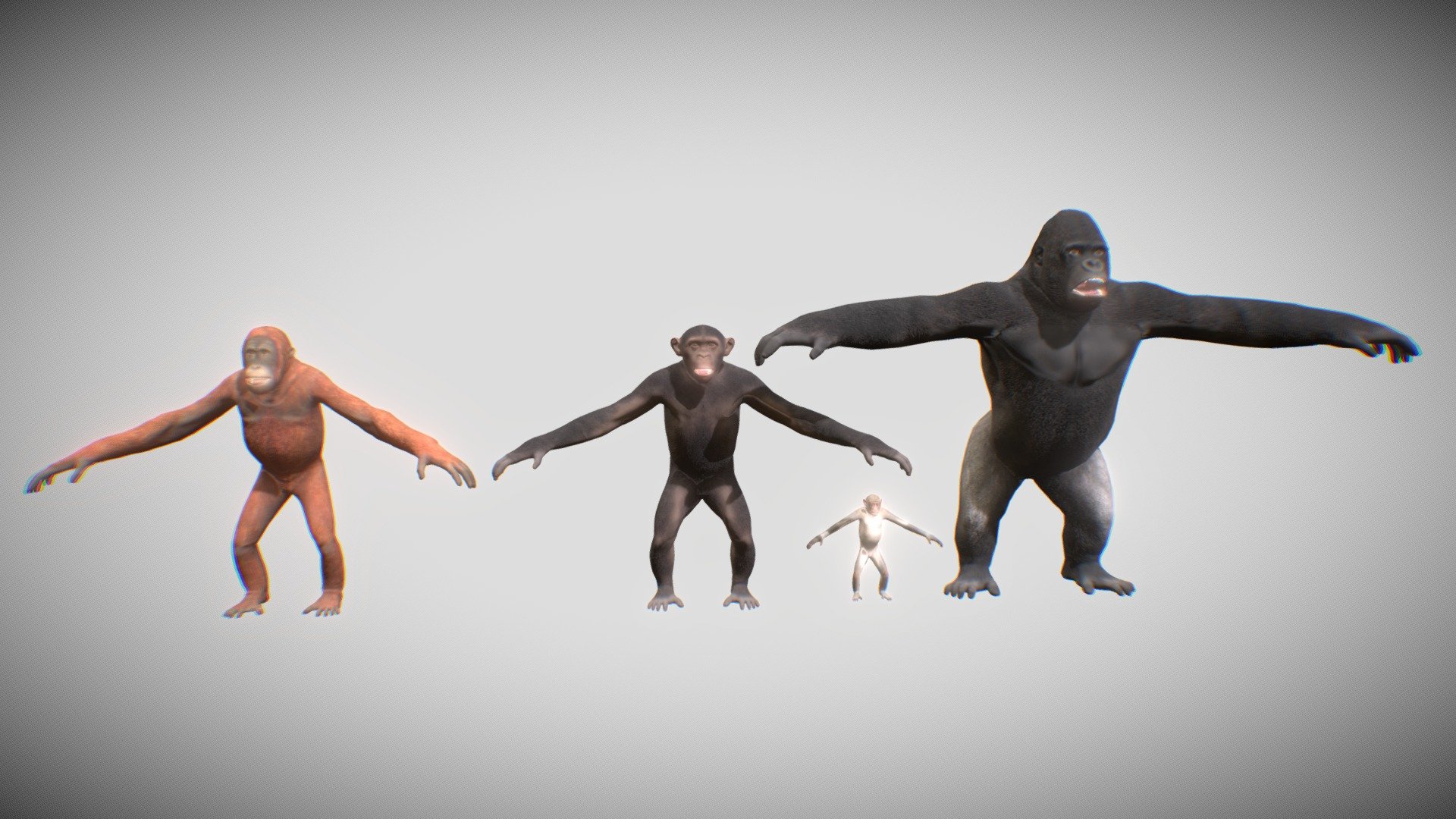 Monkeys - Buy Royalty Free 3D model by Mixall (@Mixaills) [80ae87b ...