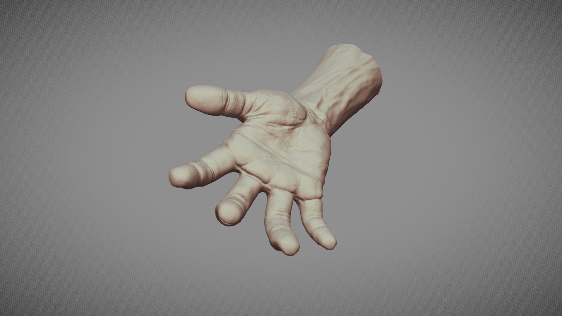 Realistic Male Hand 2 - Buy Royalty Free 3D model by Rumpelstiltskin ...