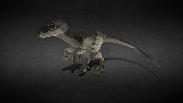 Raptor 3D models - Sketchfab