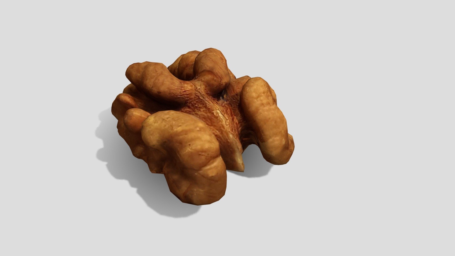 Walnut - Download Free 3D model by anton890304 [80c7b5b] - Sketchfab