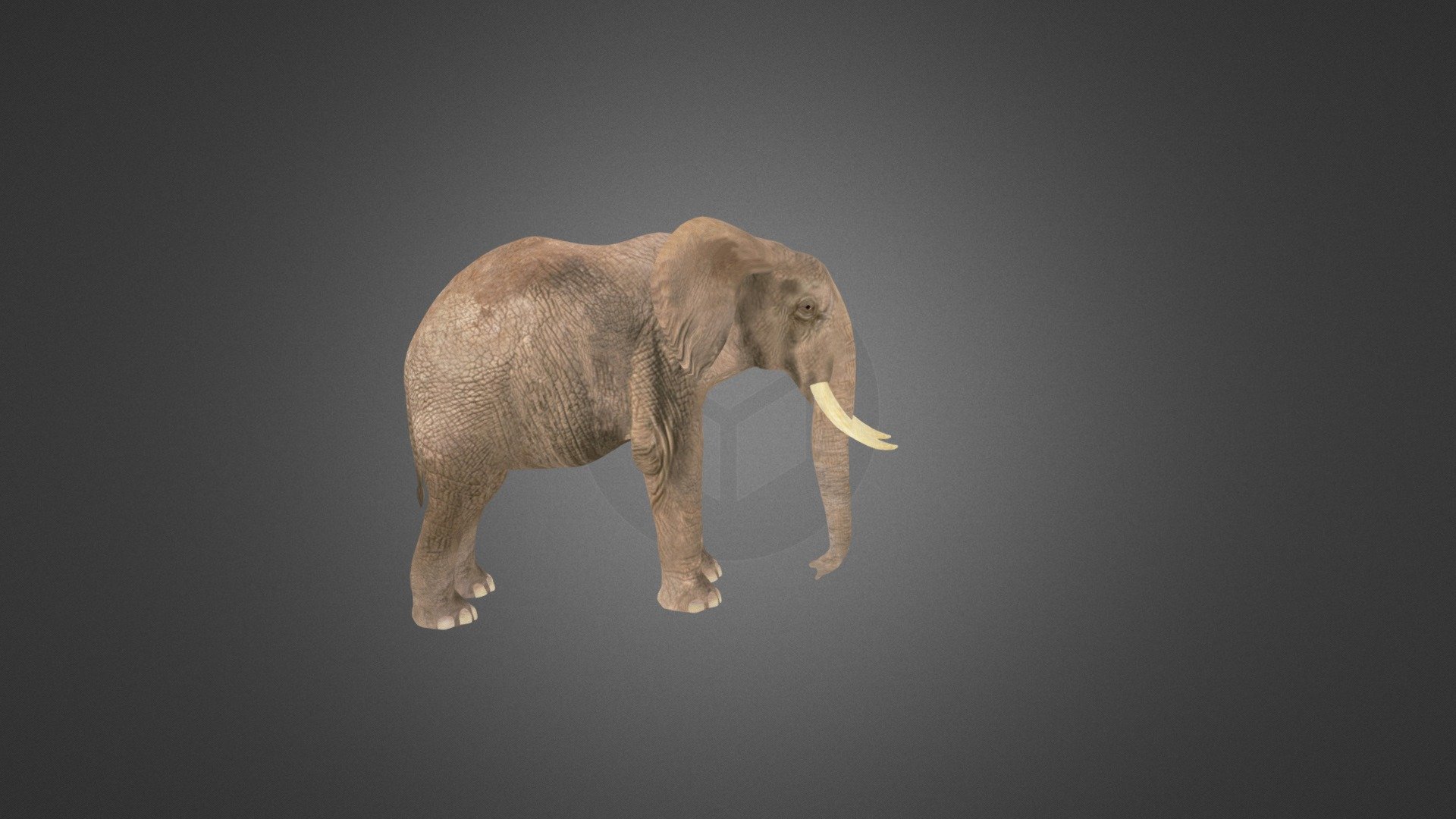 Elephant Game-Ready Lowpoly - Download Free 3D model by silentsheri ...