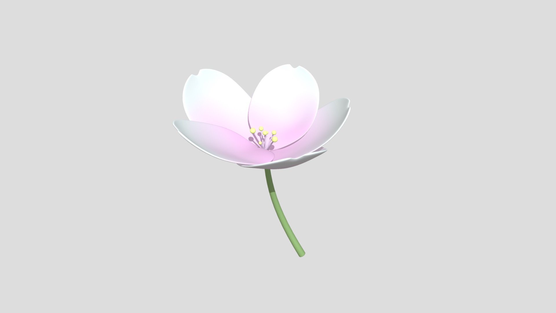 White-Pink Flower - Buy Royalty Free 3D model by Ed+ (@EDplus) [80d7824 ...