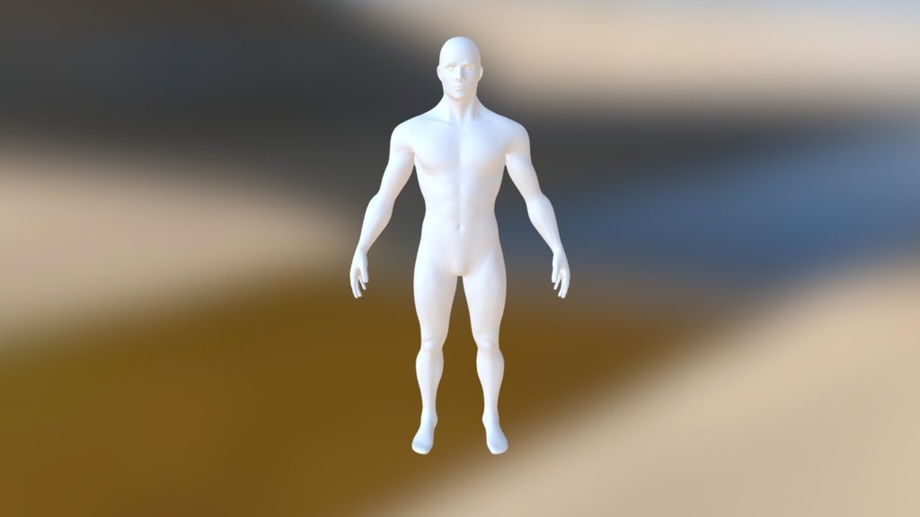 Humanbase - 3D model by ArtofPartisan [80dc384] - Sketchfab