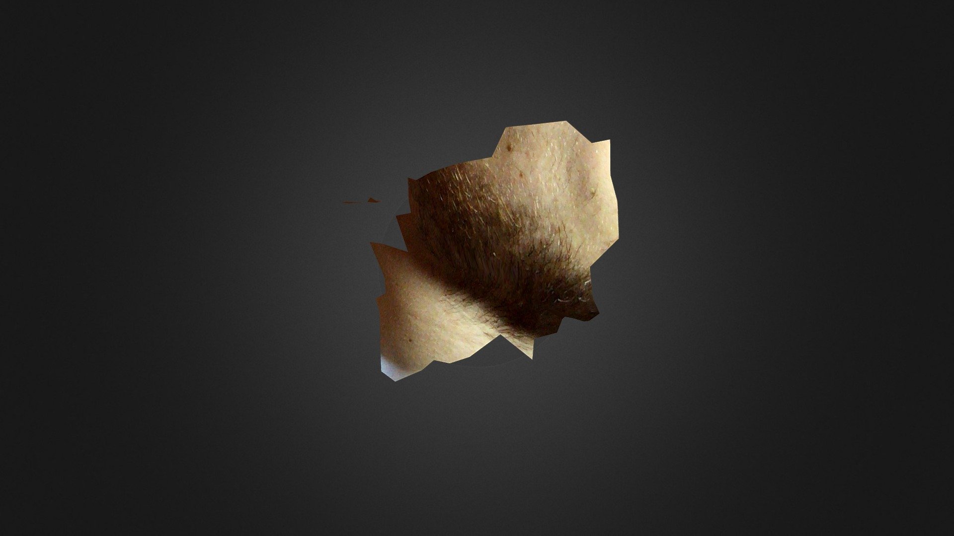 beard - 3D model by jc [80e6b3e] - Sketchfab