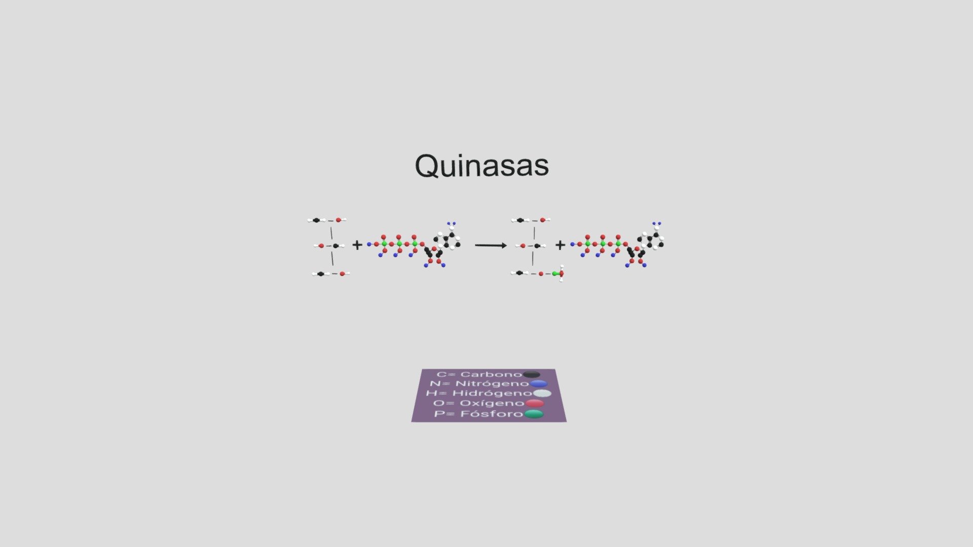 Enzima Quinasas - 3D model by NormanRomero13607 [80eb07b] - Sketchfab