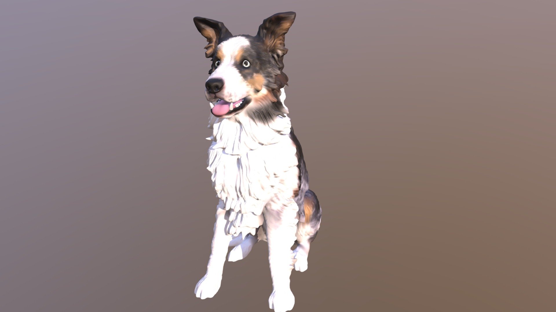 1901018- Patch- Border Collie - 3D model by Arty Lobster - Pet ...