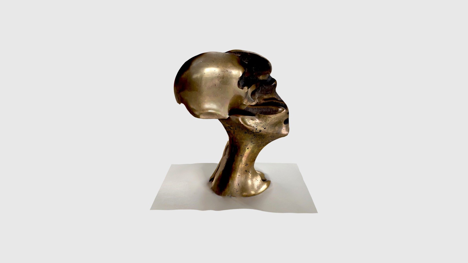 Bucher Head - Download Free 3D model by Noeggi [8101369] - Sketchfab