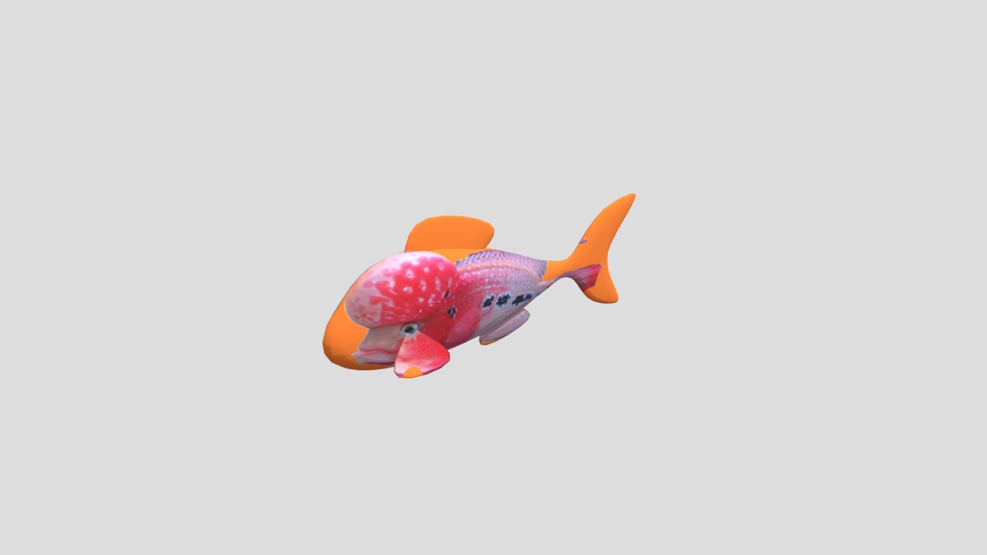 nemo - 3D model by hartini2357 [8102e45] - Sketchfab