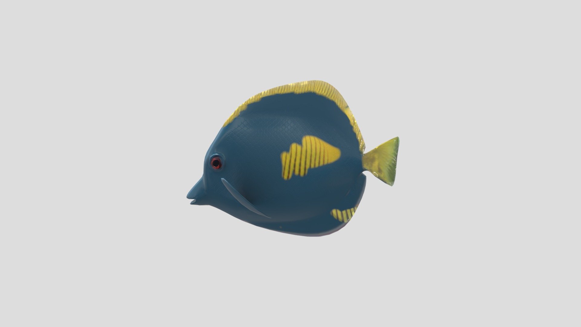 Fish - 3D model by austin.gregorio [810372e] - Sketchfab
