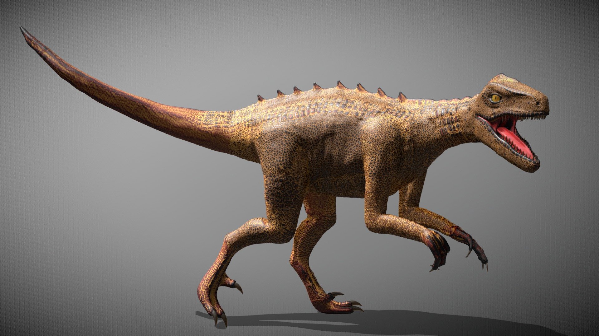 Raptor - 3D model by Akash0810 [810b666] - Sketchfab