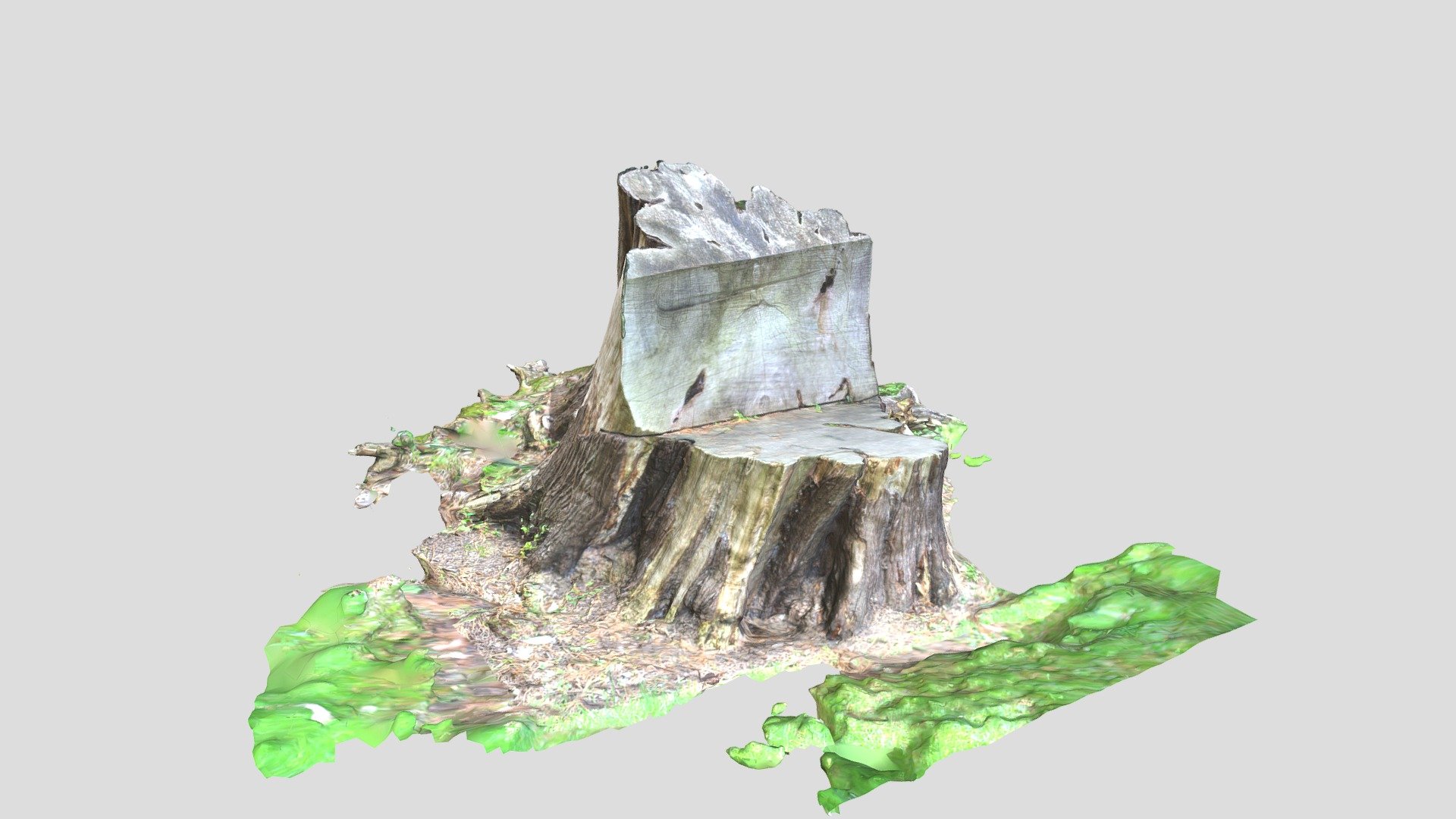 Tree Trunk - 3D model by ggbennett [811176f] - Sketchfab