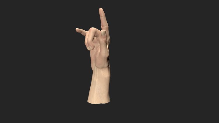 3d-anatomy-finger 3D models - Sketchfab