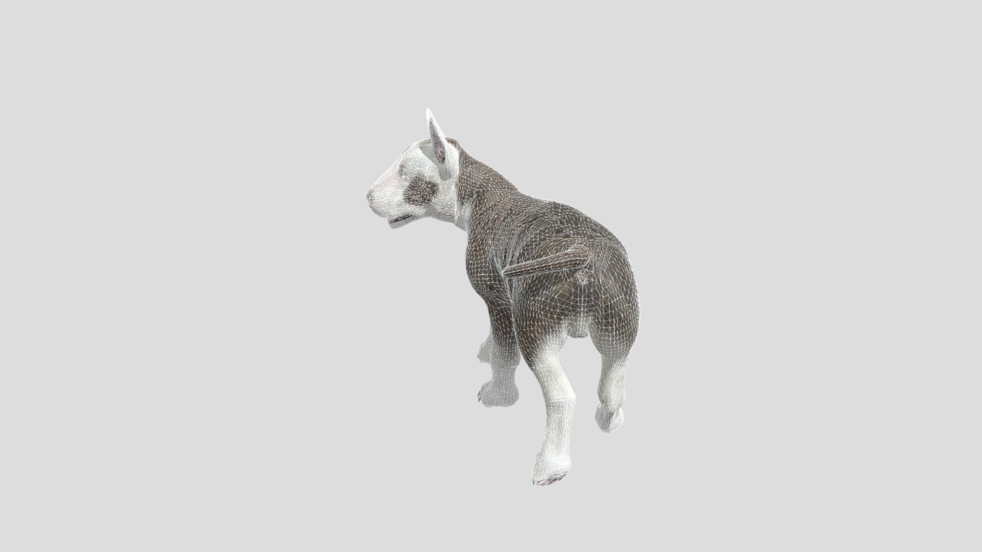 Dogs_07_p1 - Download Free 3D model by Dakta.Grower.Nzl [811dc40 ...