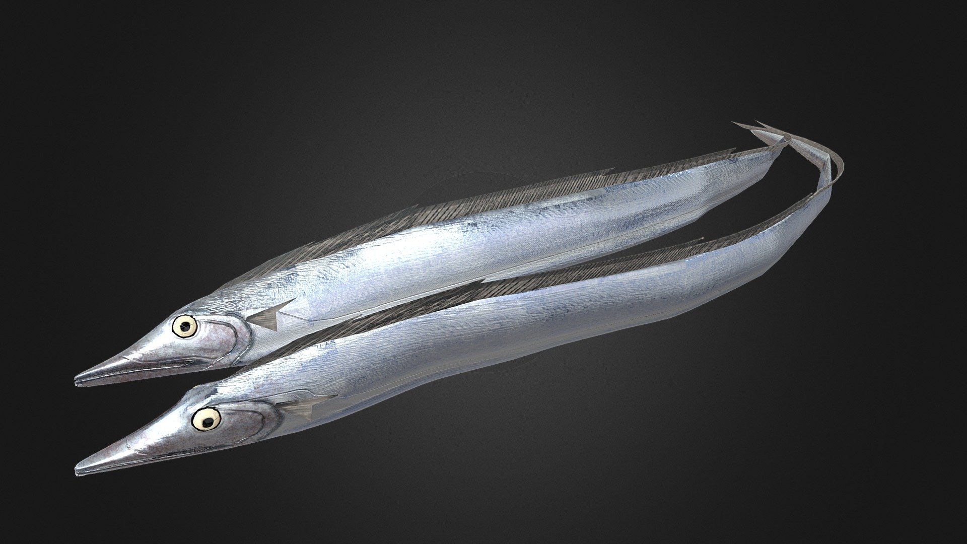 hairtail fish - Download Free 3D model by LingSound [81230fd] - Sketchfab