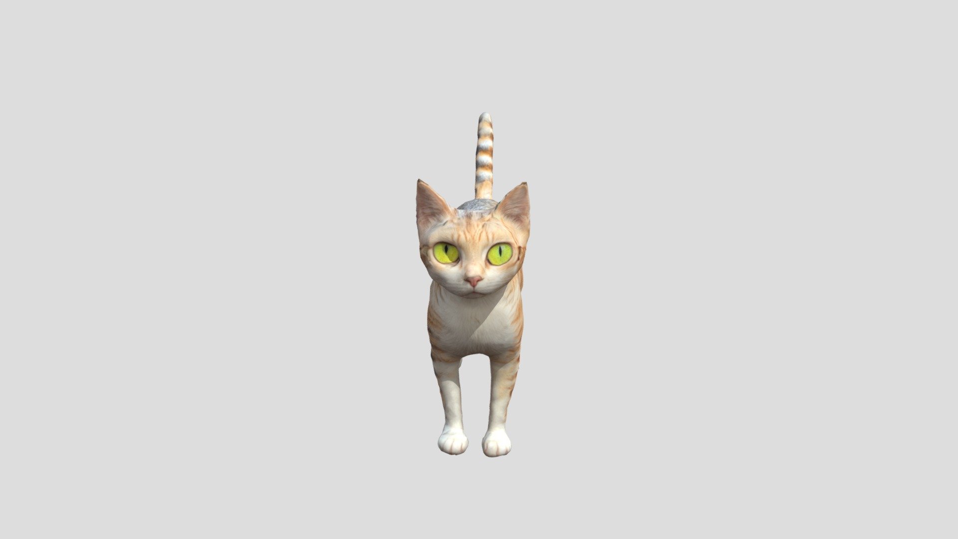Cat - 3D model by arrowdigiihub [81233ae] - Sketchfab