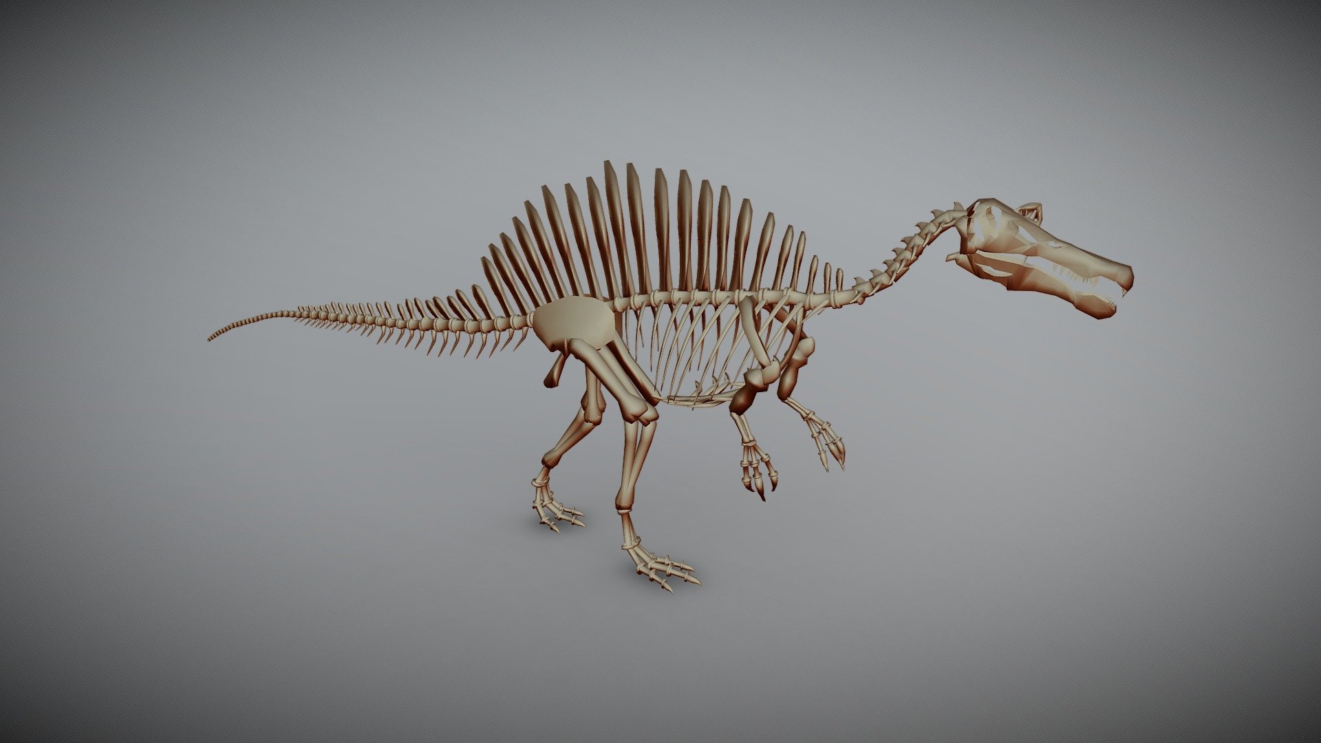 Dinosaur Skeleton - 3D model by anterior design (@anteriordesign ...