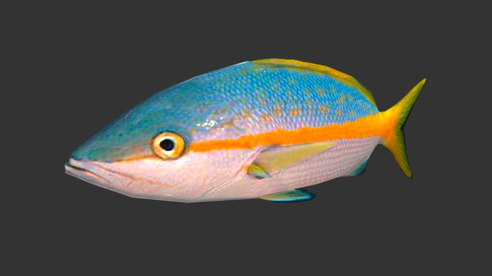 Yellow Snapper - 3D model by josluat91 [812564a] - Sketchfab