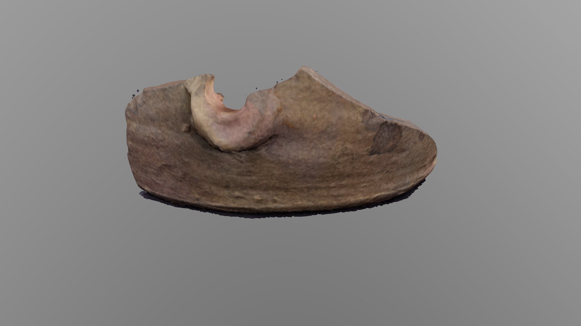 Pottery sherd - 3D model by RichardKM [812b03d] - Sketchfab