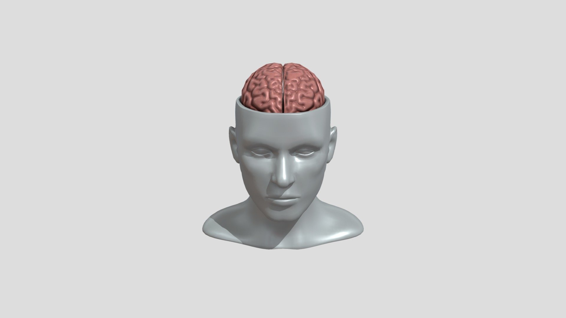 Human Brain - Download Free 3D model by eugenek818 [812f8fe] - Sketchfab