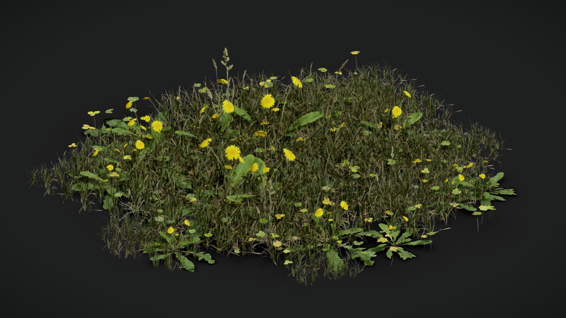 Grass Vegitation Mix - Download Free 3D model by UJJWAL CHAUHAN ...