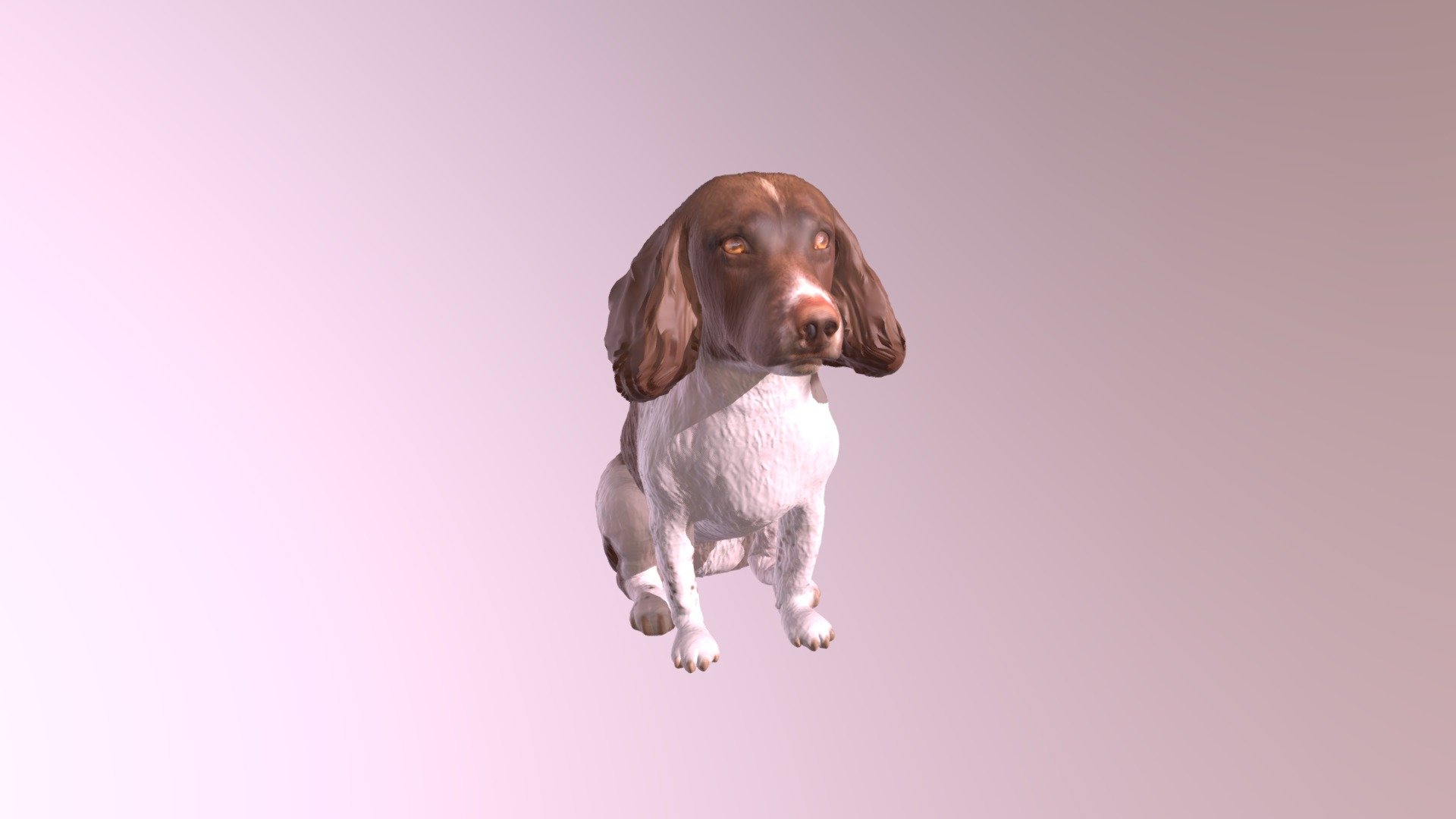 1808038- Niobi- English Springer Spaniel - 3D model by Arty Lobster ...