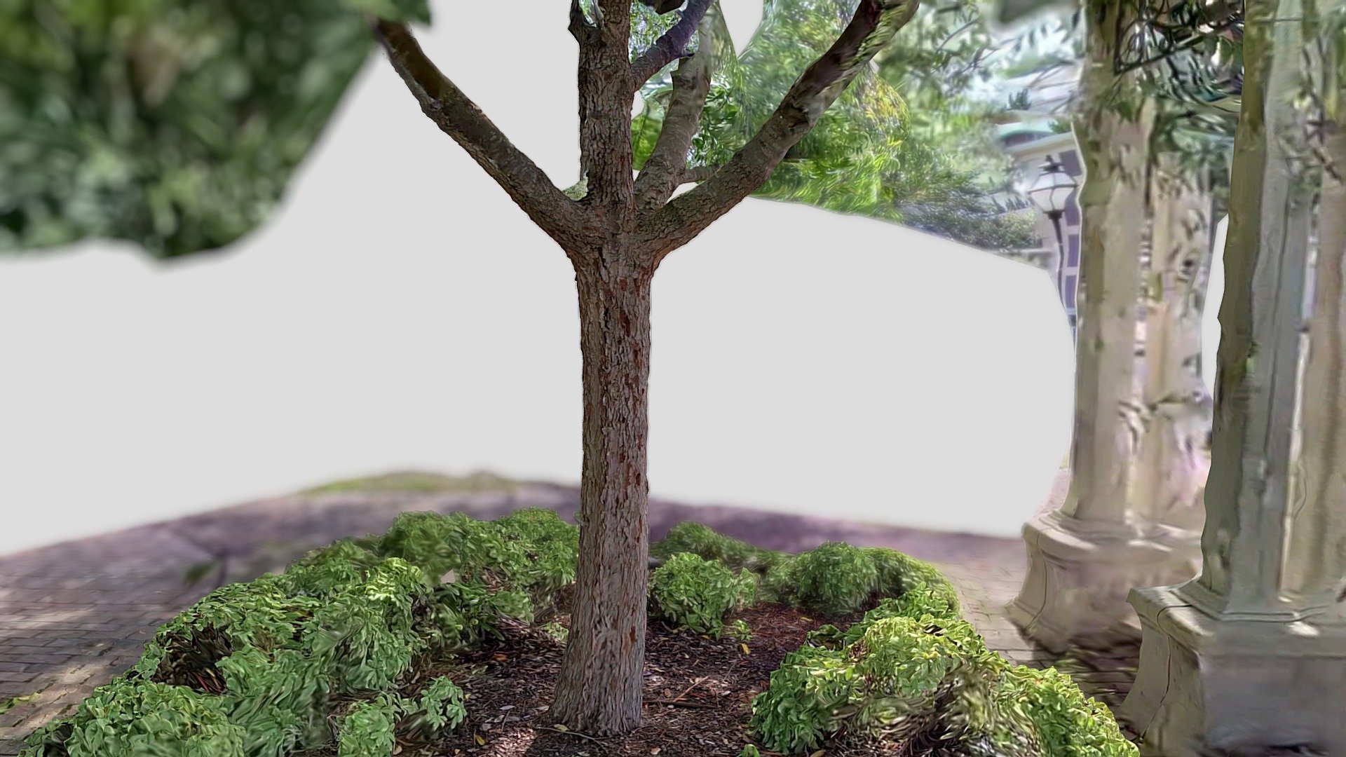 Tree #21 - Download Free 3D model by stevencmutter [813328e] - Sketchfab