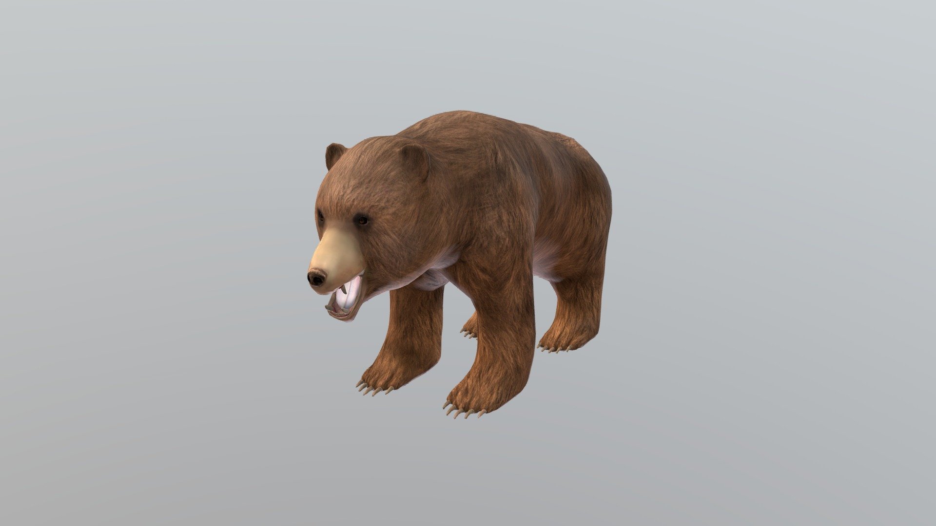 The Brown Bear - 3D model by PeterMavro [8136c2f] - Sketchfab