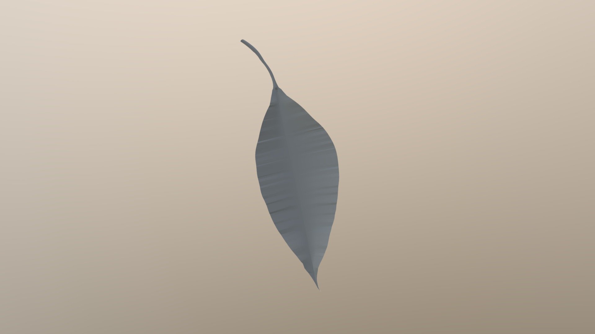 leaf - 3D model by egrace [813bb7d] - Sketchfab