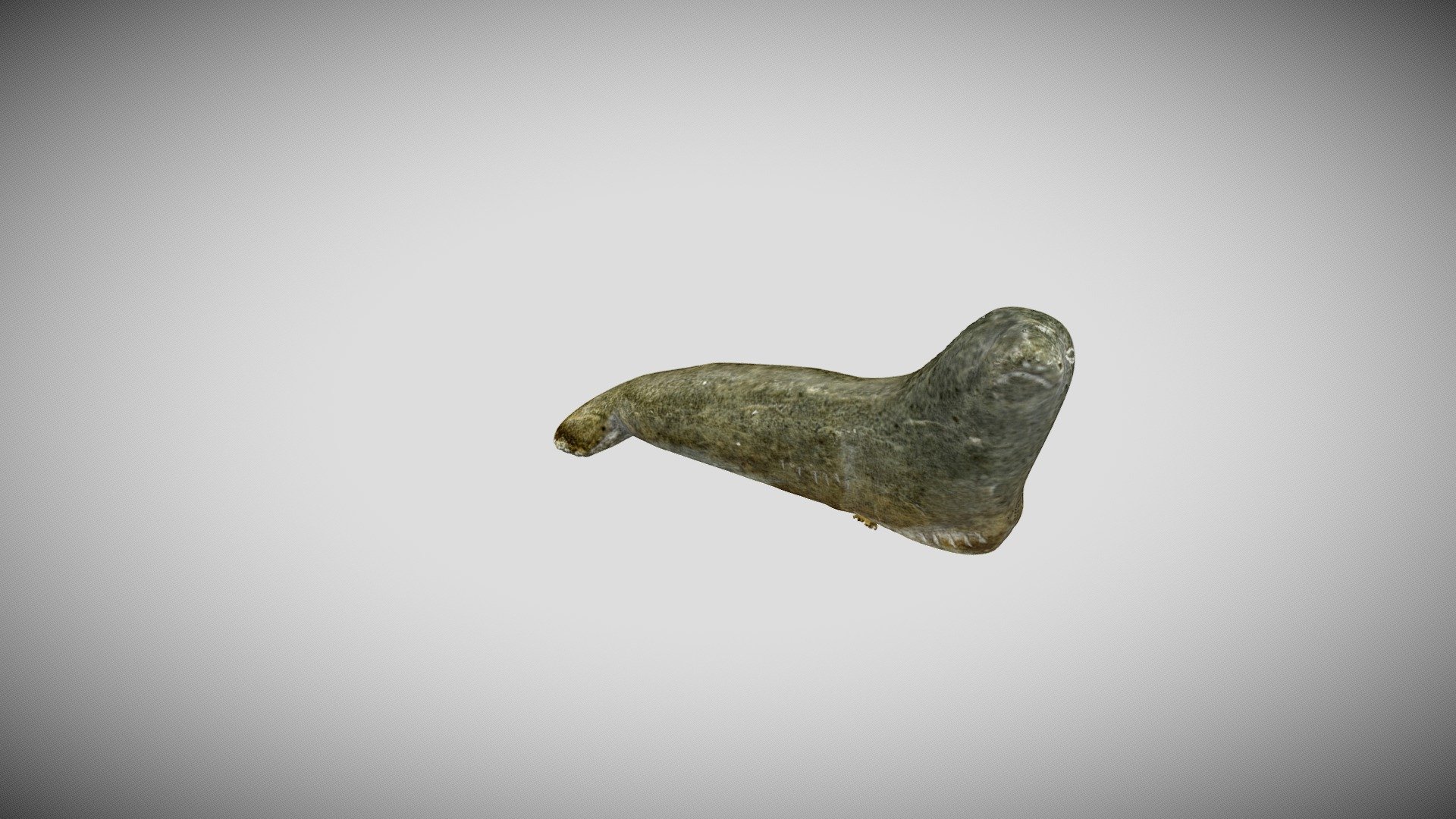 Seal Stone Carving - Download Free 3D model by portunes [813d9d0 ...